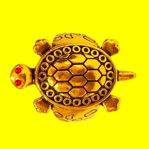 Dynamic Retail Global Tortoise Turtle Kachua Meru Ring for Men Women ...