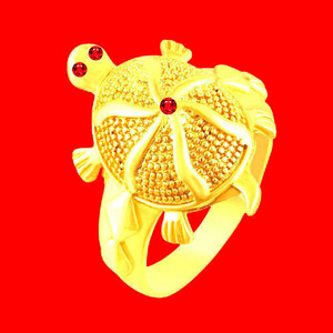 Dynamic Retail Global Tortoise Turtle Kachua Meru Ring for Men Women ...