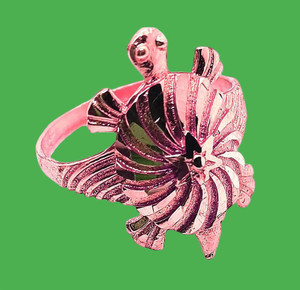 Dynamic Retail Global Tortoise Turtle Kachua Meru Ring for Men Boys ...