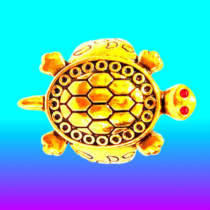 Dynamic Retail Global Tortoise Turtle Kachua Meru Ring for Men Women ...