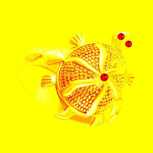 Dynamic Retail Global Tortoise Turtle Kachua Meru Ring for Men Women ...