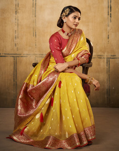 Buy Satrani Self Design, Woven, Embellished Banarasi Cotton Silk, Silk ...