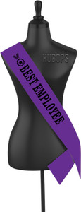 hubops Best Employee Sash for Outstanding Employee/Office Party ...