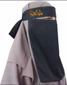 Dhyeyu Chiffon Solid, Self Design, Solid Naqab Price in India - Buy ...