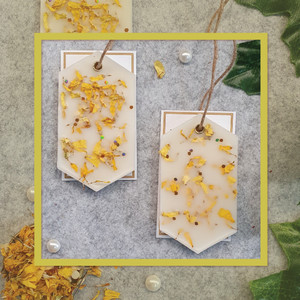 The Giftcase Fragrance Bar | Wax Sachet for Drawer and Closet ...