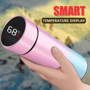 DPM LED temperature water bottle display I LED indicator water bottle ...