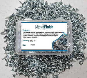 MASTER FINISH Stainless Steel Oval Self-drilling Screw Price in India ...