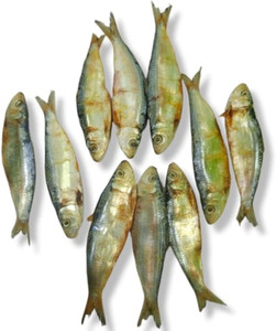 AL-HAQQ Tasty and Clean Sardine Dry Fish Sardine | Mathi | Chala Dry ...