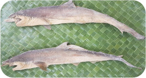 Thai Sun Dried Milk Shark\ Paal Sure \ Dry Fish Cubes Price in India ...