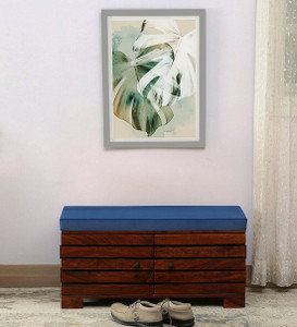 Wopno Furniture Sheesham Wood Closed Shoe Rack Cabinet for Home | Shoe ...