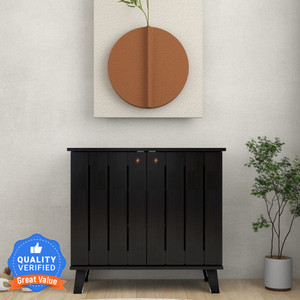 Mintwud from Pepperfry Juhani 2 Door Cabinet/Shoe Rack For Home ...