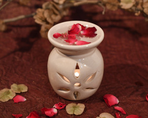 Collectible India Aroma Diffuser Handmade Price in India - Buy ...