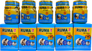 VEDANTRA AYURVEDA RUMA T PAIN RELIEF CAPSULE JOINT PAIN,RHEUMATOID ...