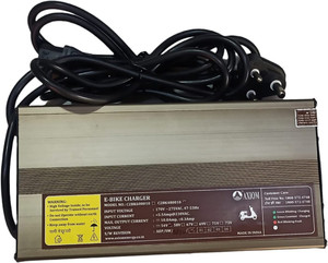 Axiom 48V 10A Lithium battery charger for EV e bike scooty scooter ...