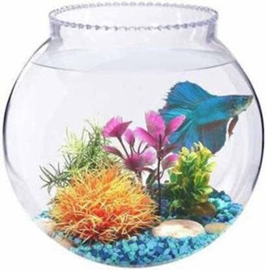 MAGINATO 4 inch coller fish bowl@1 Round Ends Aquarium Tank Price in ...