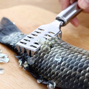 crownsmill SteelFish Scrapper Fish Scaler Price in India - Buy ...