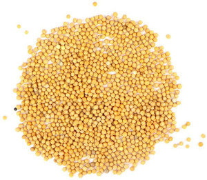 DISAYA yellow mustard seeds | sarso pili beej | peeli sarson beej Seed ...