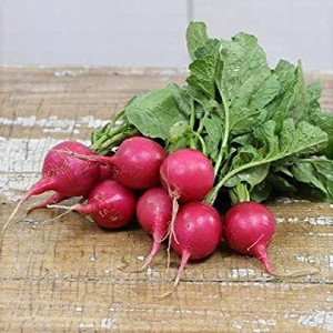 Nodoc Red round Radish Seed Price in India - Buy Nodoc Red round Radish ...