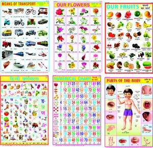 Educational Charts for Kids' Cognitive Development (Set of 6) Explore ...