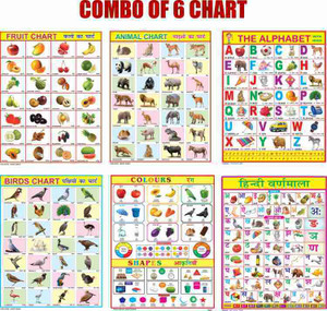 Pack Of 6 Laminated Chart Animals, Fruit, Alphabet, Bird, Color Of ...