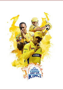 IPL Cricket Team CSK Chennai Super King M.S Dhoni Photo Poster_iplms5 ...