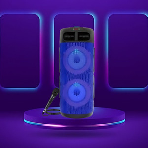 Buy FRONY DJ Box 40W Bluetooth Home Audio Speaker & FM Radio with Mic ...