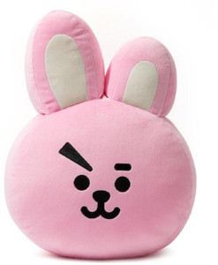 Toyet TWY Soft BTS Cooky Plush Pillow BT-21 Stuffed Toys Throw Pillow ...