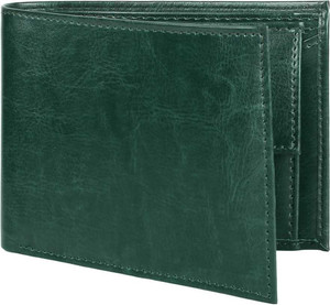 PROVOGUE Men Formal Green Artificial Leather Wallet Green - Price in ...