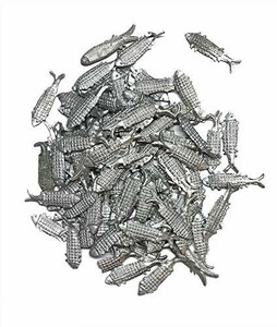 Zhunmun Ranga Fish /Lead for Rahu Ketu Dosh, Kal Sharp Dosh Shanti for ...