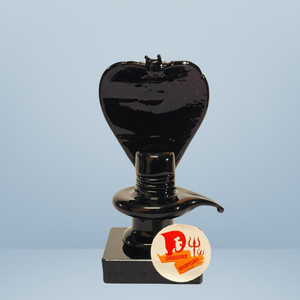 DARIDRA BHANJAN Shiv Crystal shivling Glass shivling sphatik shivling ...