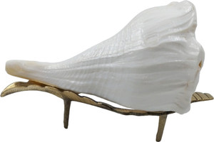 MAA MANSA DEVI Divine Conch with Stand Natural Valampuri Sangu for ...