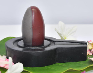 EliteTouch Original Janeu Dhari Narmadeshwar Shivling, Narmada Shivling ...