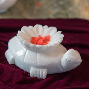 Jain Arts & Exports White Marble Tortoise/Turtles - White Turtle for ...