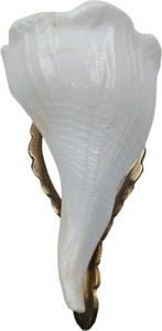 MAA MANSA DEVI Divine Conch with Stand Natural Valampuri Sangu for ...