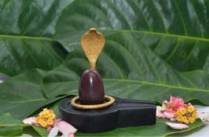 AKNaturals Stone Narmadeshwar Shivling Original/Narmada Shivling ...