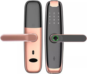amiciSmart Biometric Smart Door Lock Price in India - Buy amiciSmart ...