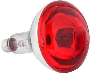 FORUS 150W Infrared Bulb,270V (Red, Base-E27) Smart Bulb for Home ...