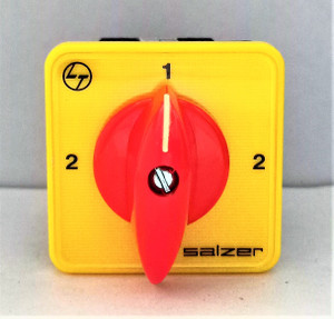 Salzer 61038 16A 2Pole 2Way without OFF S16 B63 Cam Operated Rotary ...