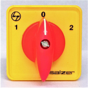 Salzer (L&T) 61028 6A 4Pole 2Way S6 Cam Operated Rotary Switch Price in ...