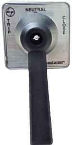 Salzer (L&T) Breaker Control TNC Switch 73257SEB03PGGB 1NO + 1NC Price ...