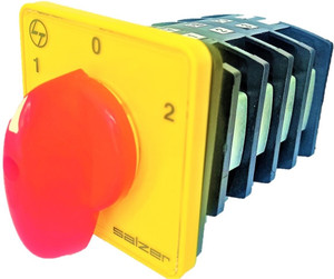 Salzer (L&T) 61028 63A 4Pole 2Way S63 Cam Operated Rotary Switch Price ...