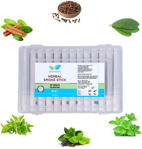 JOYHERBS Herbal Cigarettes Mint Flavour(25 Stick) Smoking Cessations ...