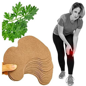 SAMARTH HUB Pain Relief Patches for all parts of body pack of 10 ...