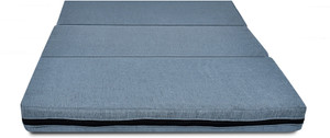 Friends Life 2 Seater Double Foam Fold Out Futon Price in India - Buy ...
