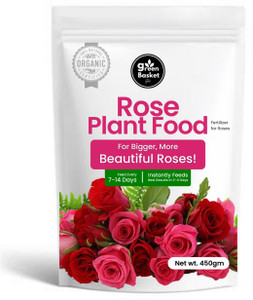 green basket Rose plant food || Rose plant care ||Rose plant food by ...