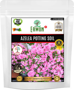 Erwon Azalea Potting Soil with Fast Action Formula Manure Price in ...