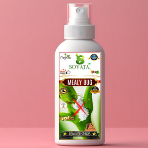Sovata Mealy Bug Remover Spray, removing white bugs from all types of ...