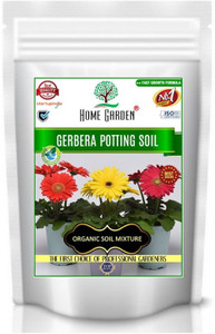 Home Garden Gerbera Potting Mix Essential Organic Potting Mixture For ...