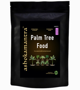 ashokamantra Palm food for Palm Trees ,Organic fertilizer Fertilizer ...