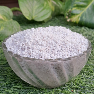 Plantsab Premium Quality Perlite for Potting Mix 500gm Potting Mixture ...